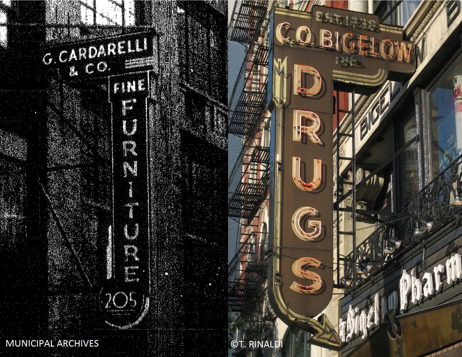 New York Neon: G. Cardarelli, Fine Furniture