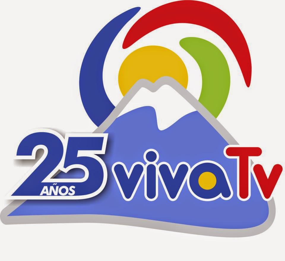 VIVA TV: Historia
