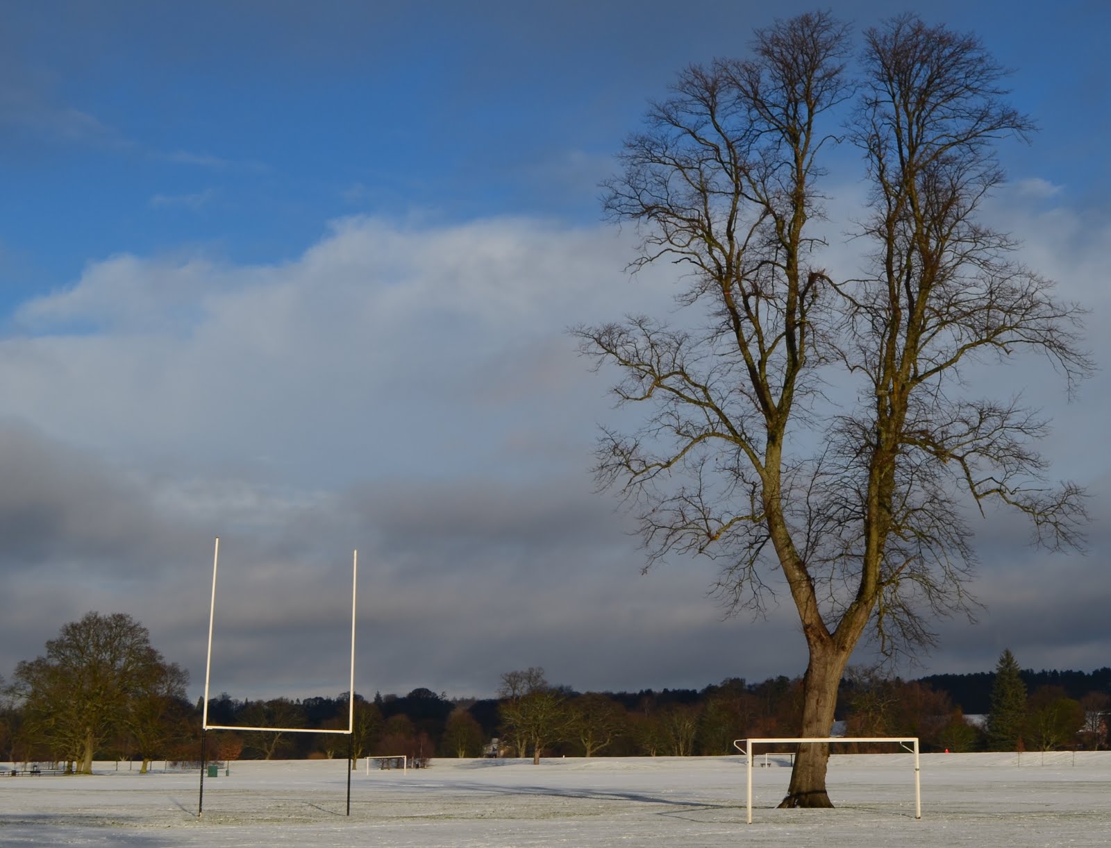 Tour Scotland: Tour Scotland Winter Photographs North Inch Park Perth ...