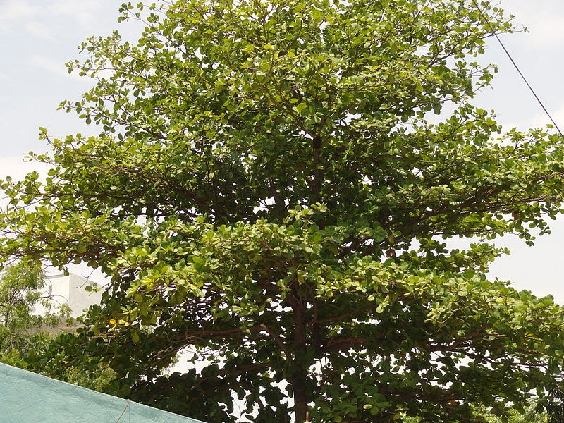 The Beginning of 40 for me: August 2014