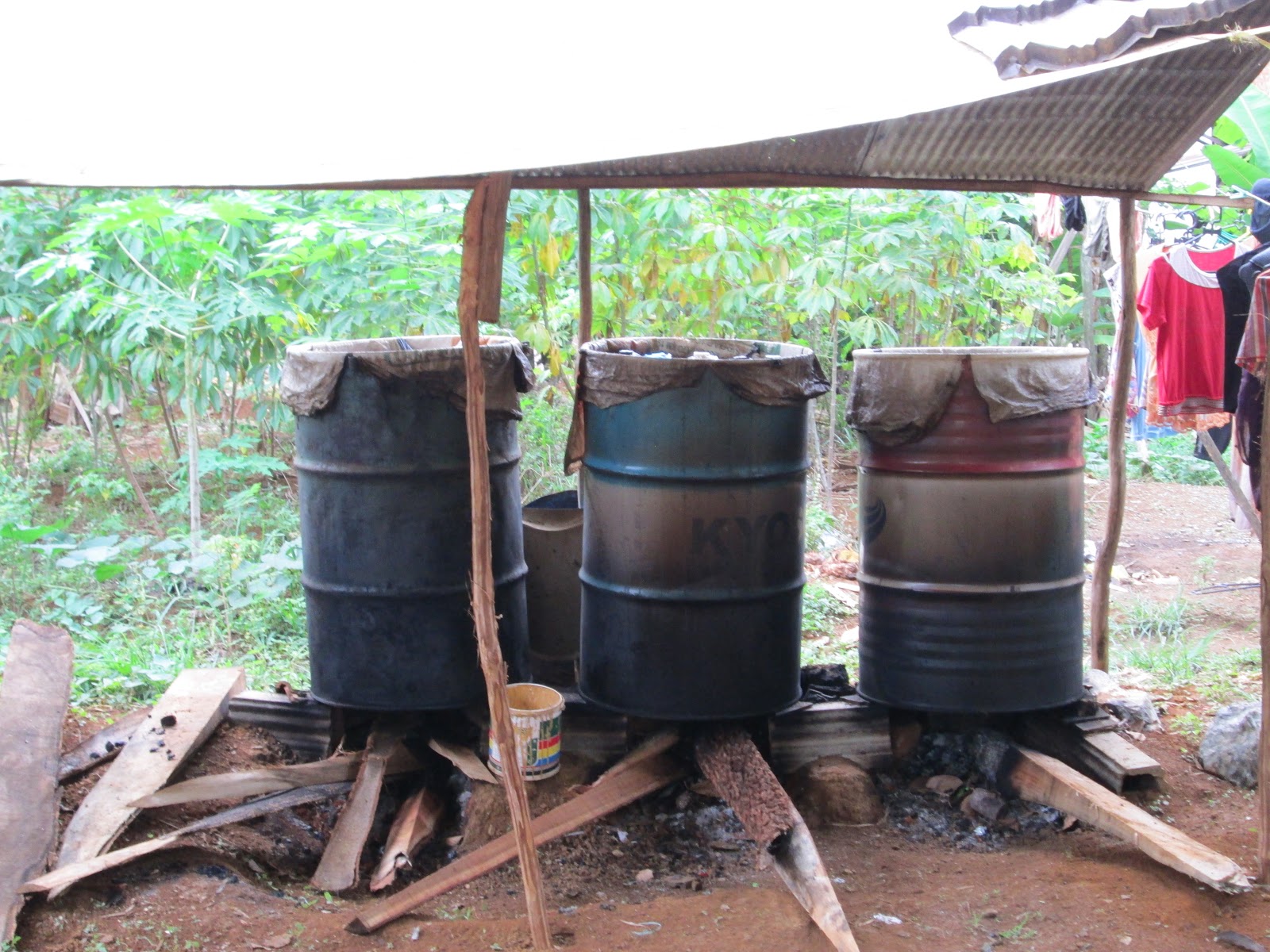 Cara Membuat Baglog Jamur Tiram