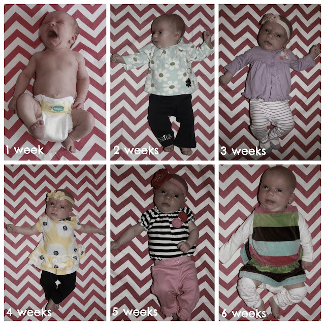 {the hoversons}: June 2012