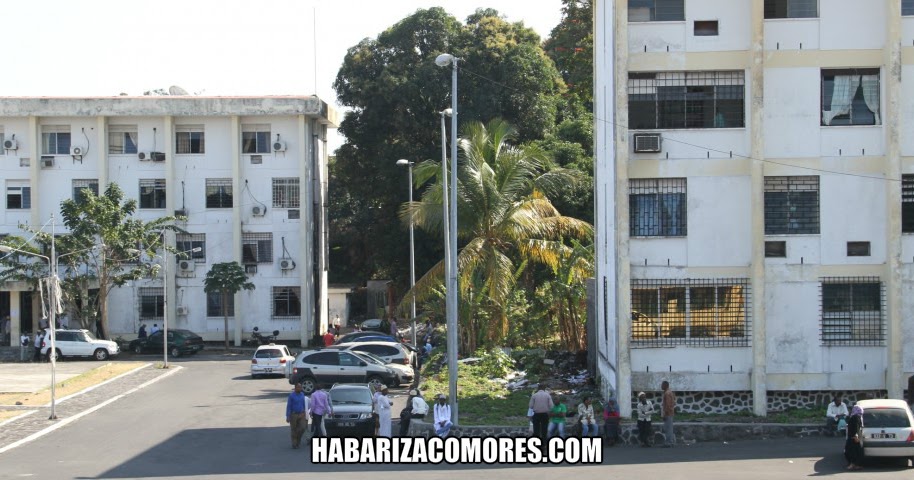 Madame FATIMA CHAMI nommée Inspectrice Générale de l’Education ...