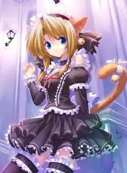 kir¥ └e§§☆ ★⁂: {imágenes}cat-girl