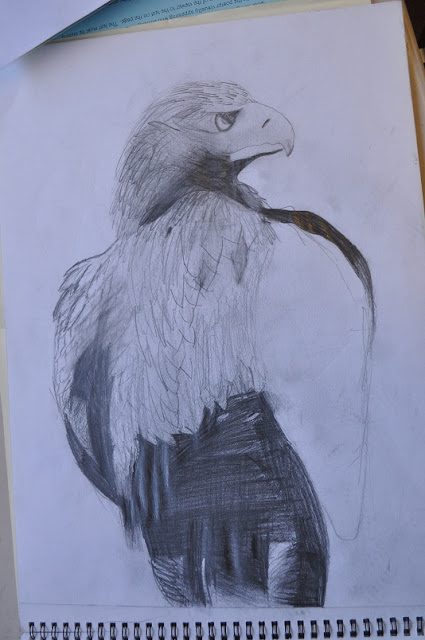 I teach art: Pencil Bird Drawings