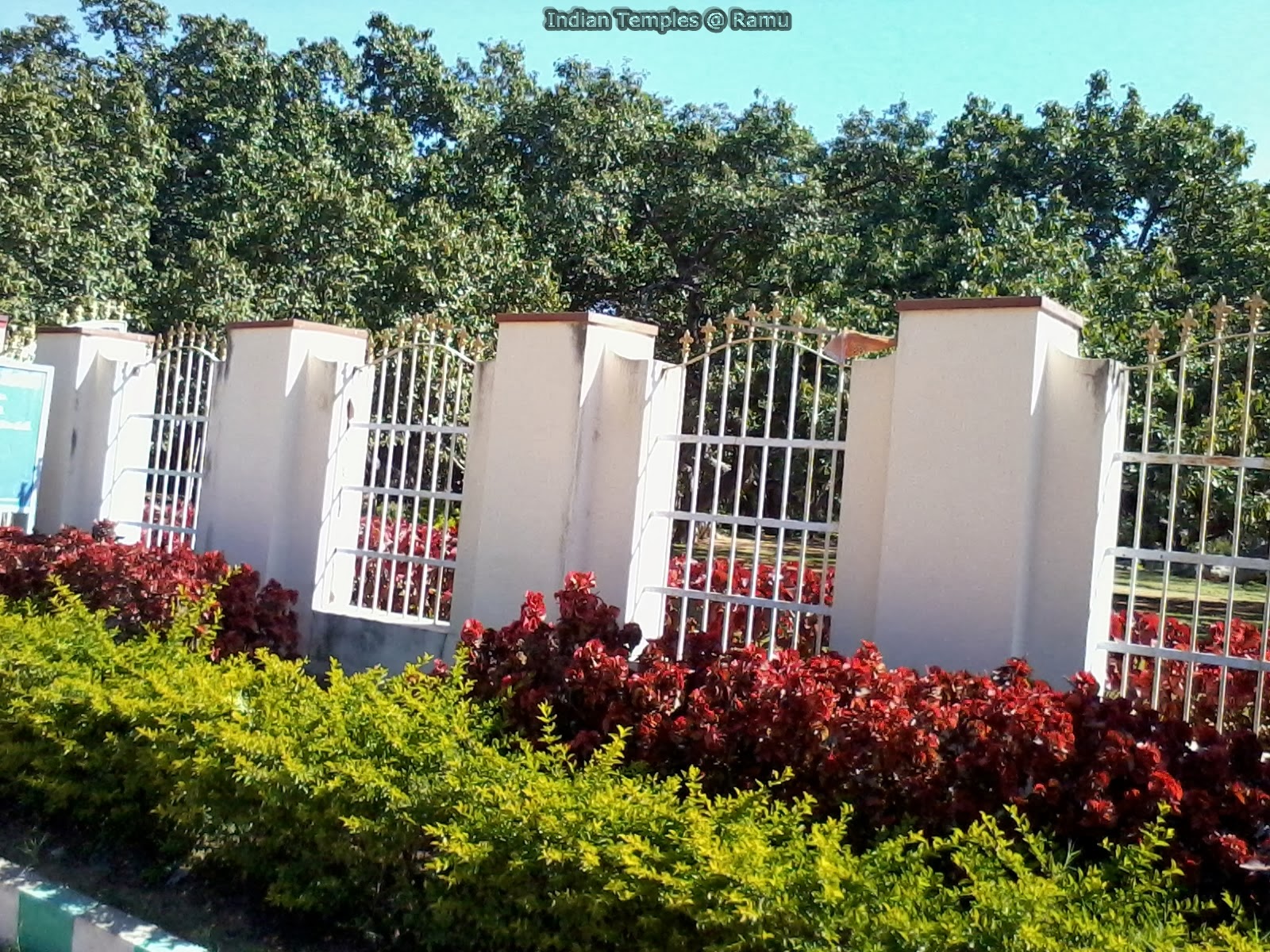 Pillalamarri Banyan Tree in Mahabubnagar - Indian Temples List