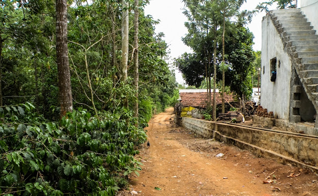 Tamilnadu Tourism: Karadiyur View Point, Yercaud