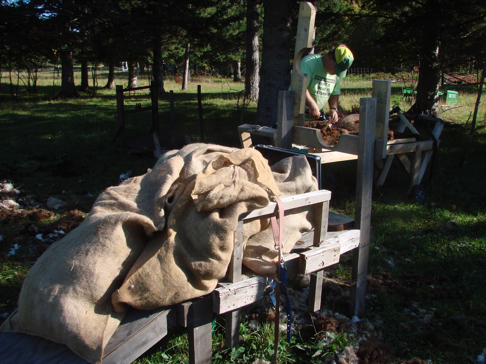 Kilpelän Luomutila ja Sen Ympäristö: My Self-Loading Sheep Shearing Table