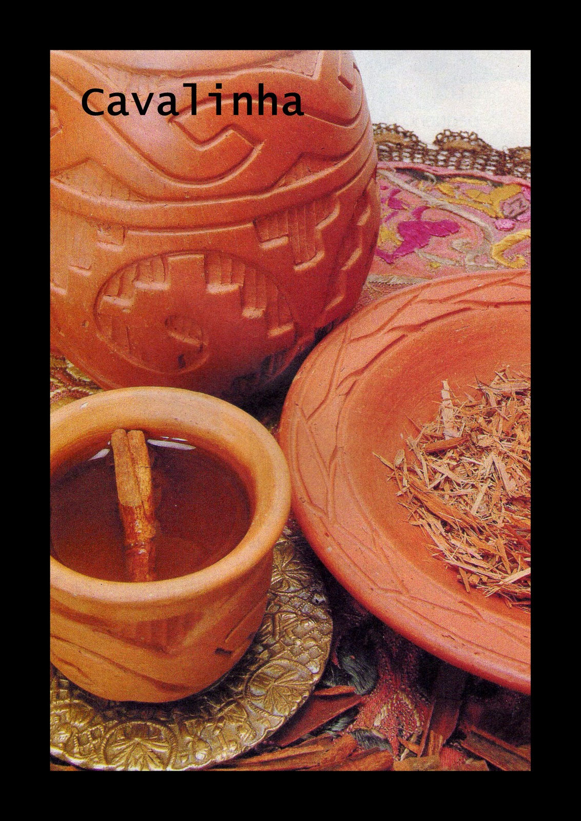 Chás & Especiarias: CHÁS MEDICINAIS #3