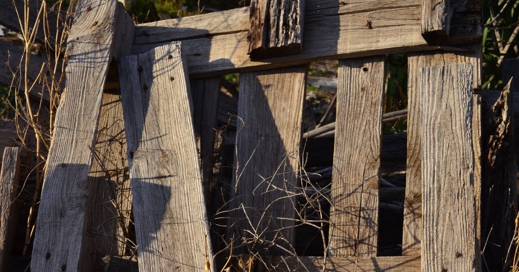 Lineas (Oblicuas, verticales, horizontales)