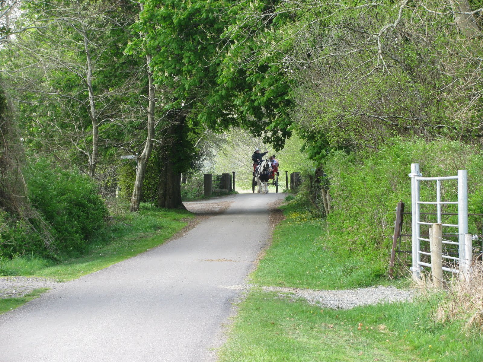 BelgiumBarb: Killarney, Ireland...A Dream Come True!