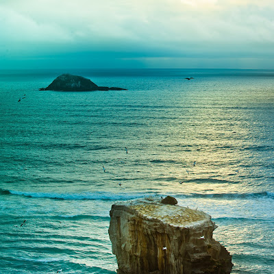 Picture Zoo: Nature Views