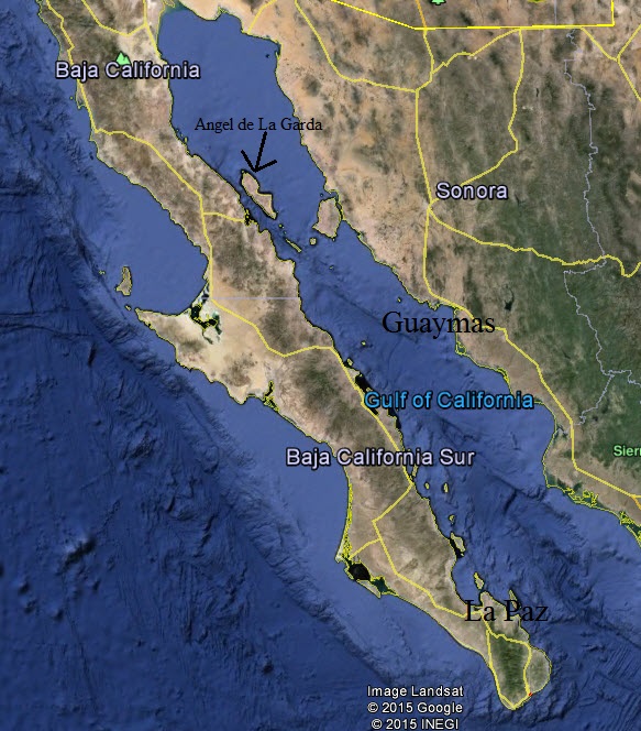 Traveler at Sea: Seven Fires Across America