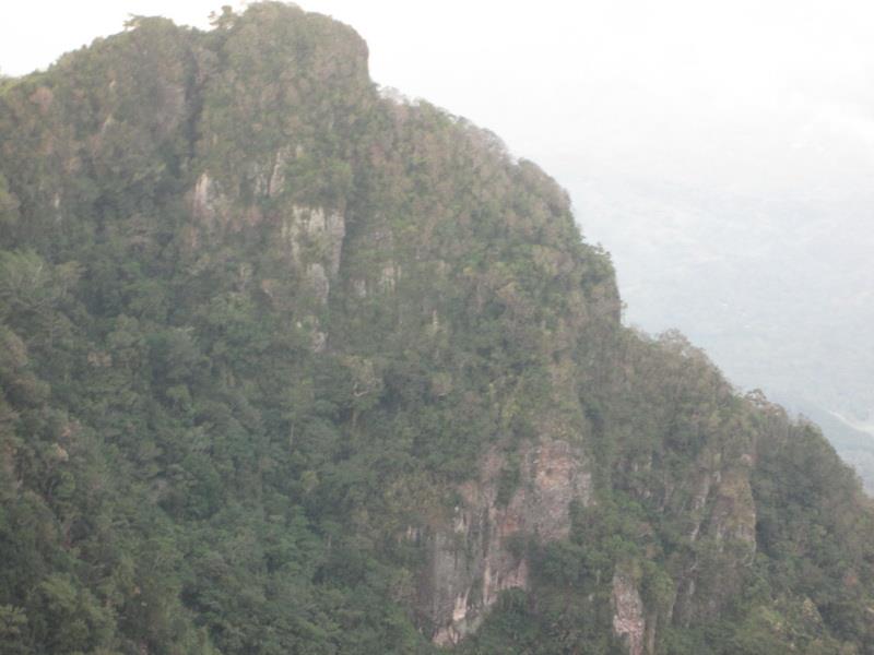 My Travel Blog: Mt. Patong, Lobo, Batangas