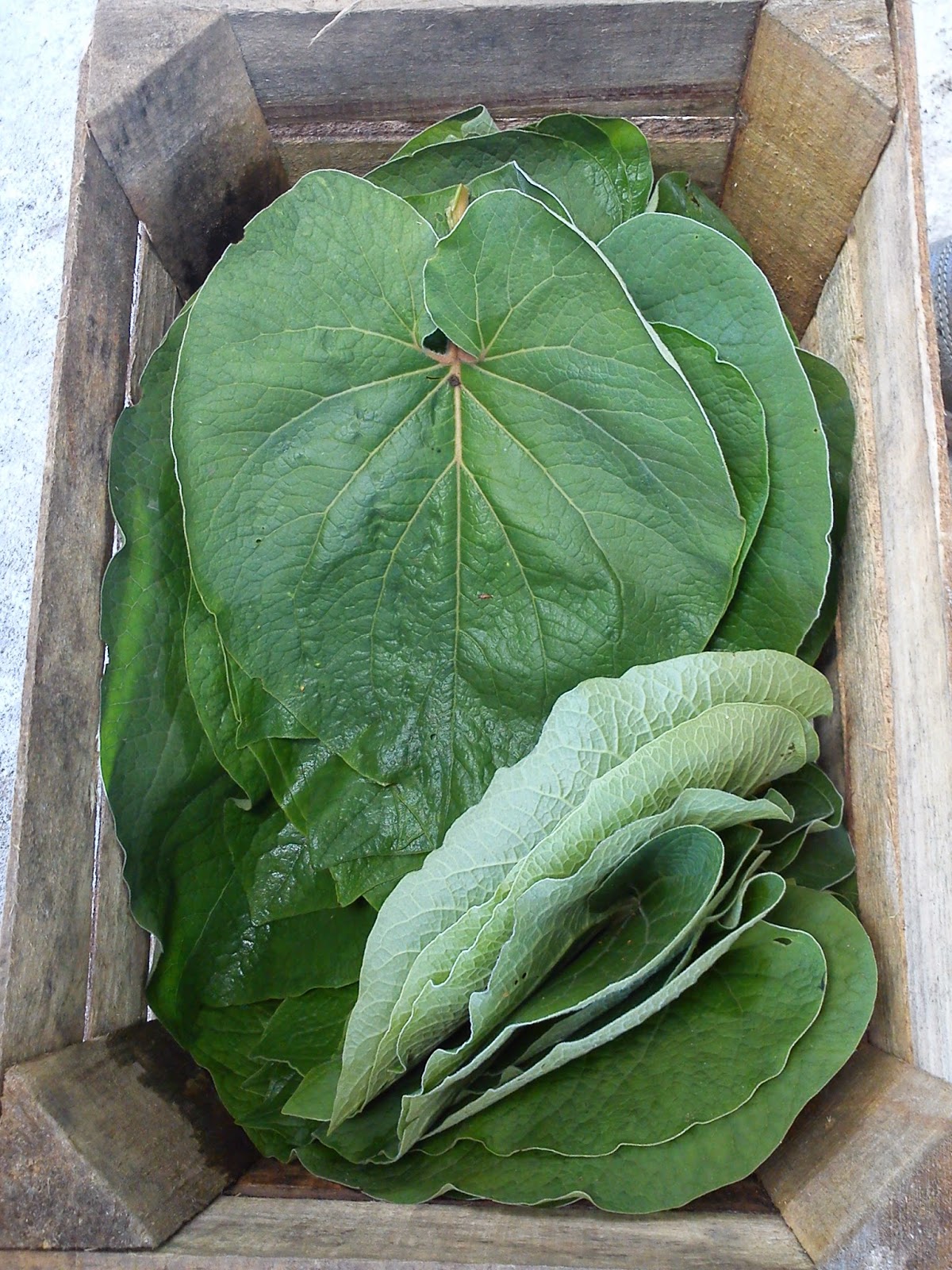 Producción y distribución de Alimentos orgánicos y biodinámicos de ...