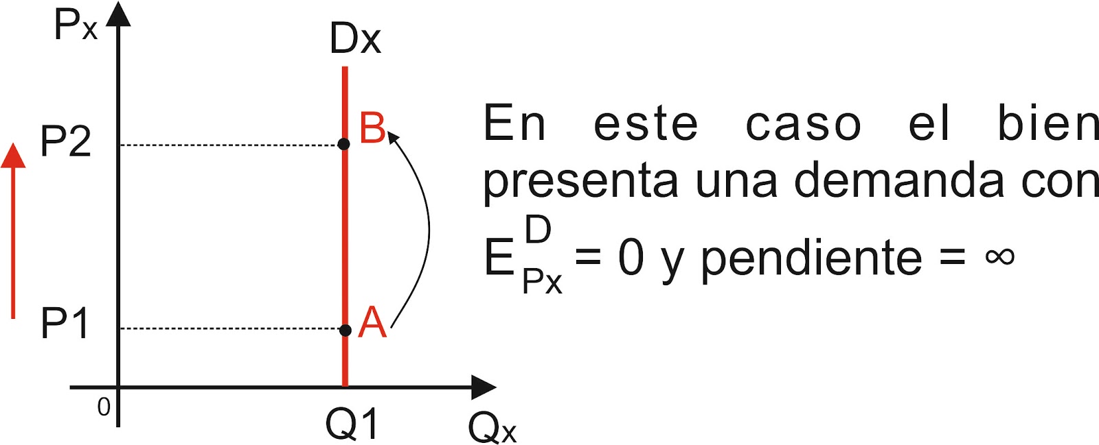 Economía: ELASTICIDAD PRECIO DE LA DEMANDA