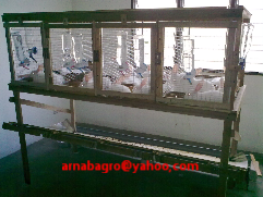 Arnab Agro: Cara Murah dan Mudah untuk Memulakan Penternakan Arnab ...