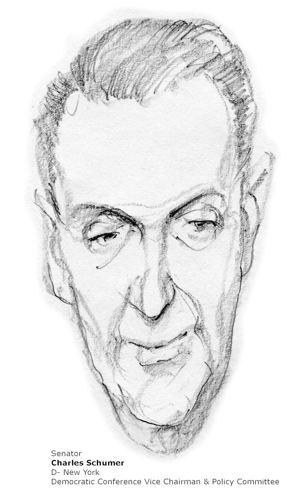 daily drawings: Charles Schumer