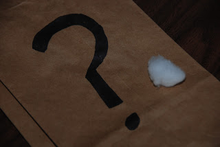 Adventures in Homeschooling: The 5 Senses