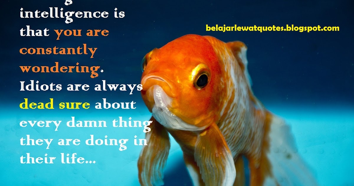 belajar kehidupan lewat quotes: Beda Orang Intelek dan Idiot.