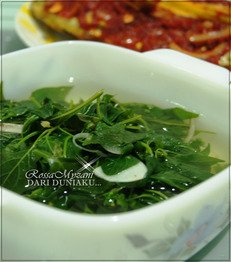 Dari DuniaKu...: Sayur Bening Pucuk Meranti