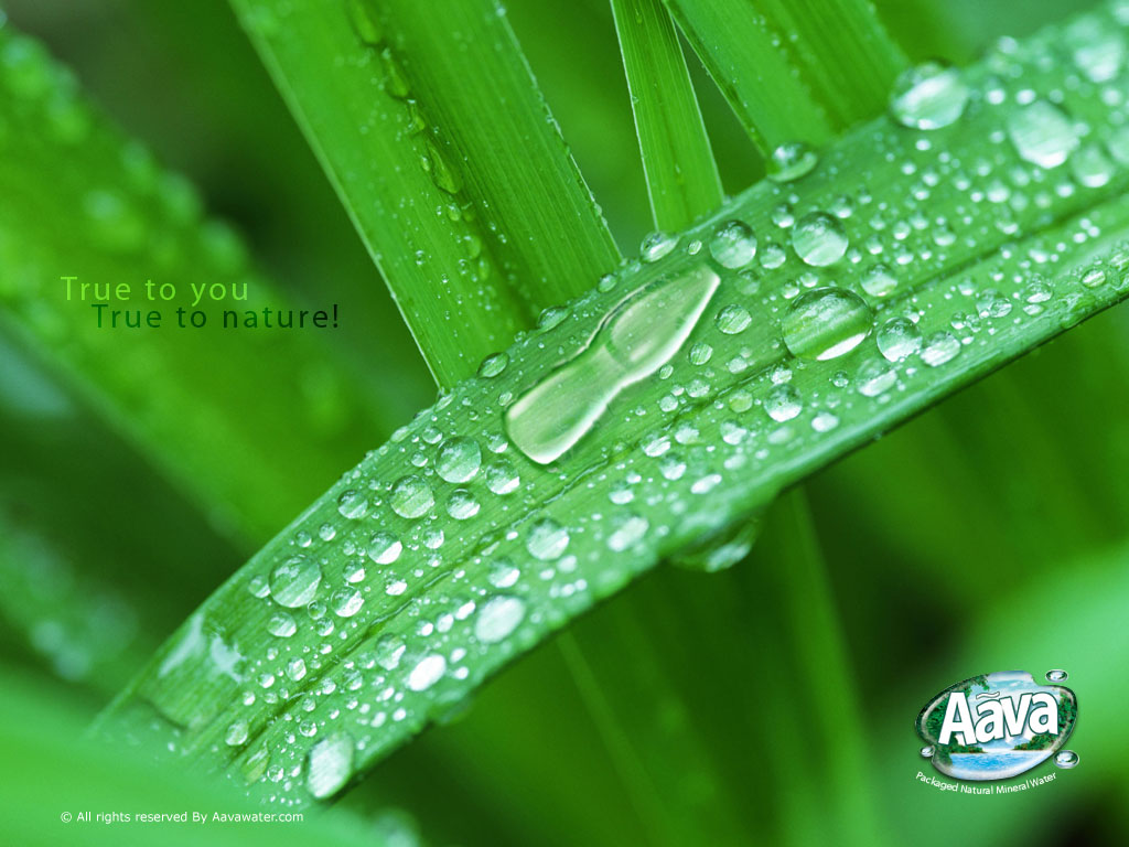 Why GREEN is absolute GREEN | aavawater