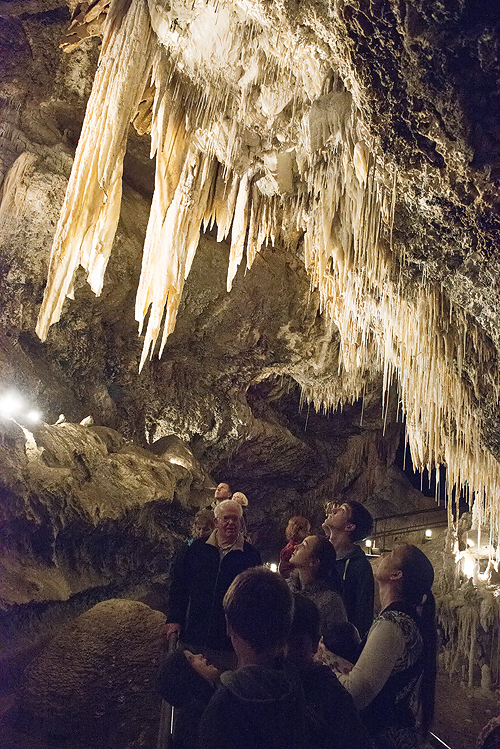 The Kings: Marakoopa Caves