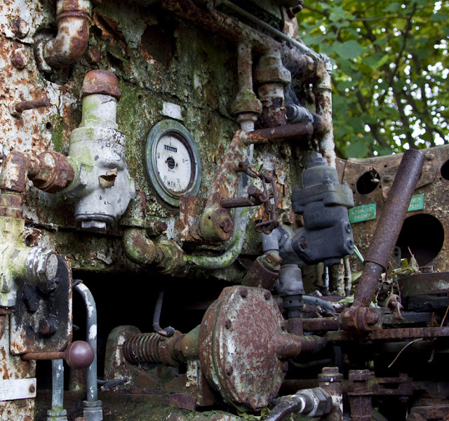 Forest junkyard
