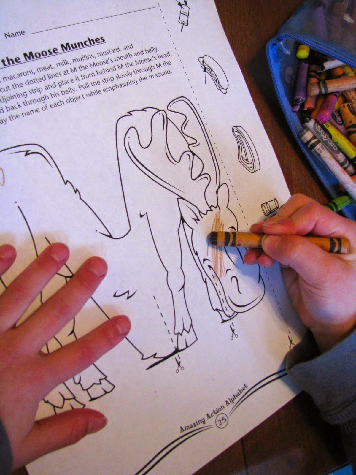 Amazing Action Alphabet: M the Moose with his Mustache