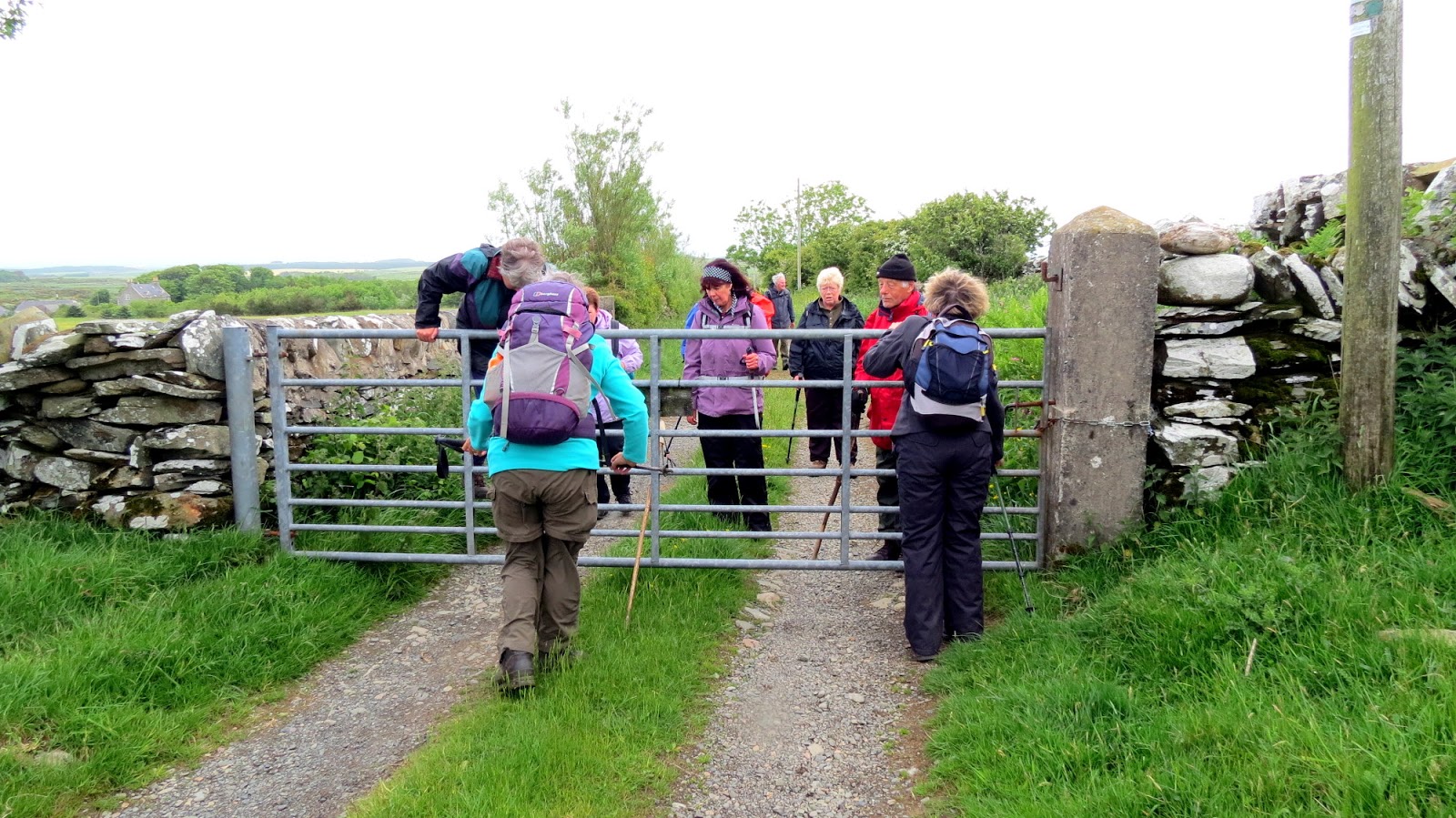 The Glebe Blog: Wigtownshire Ramblers Glasserton June 2013