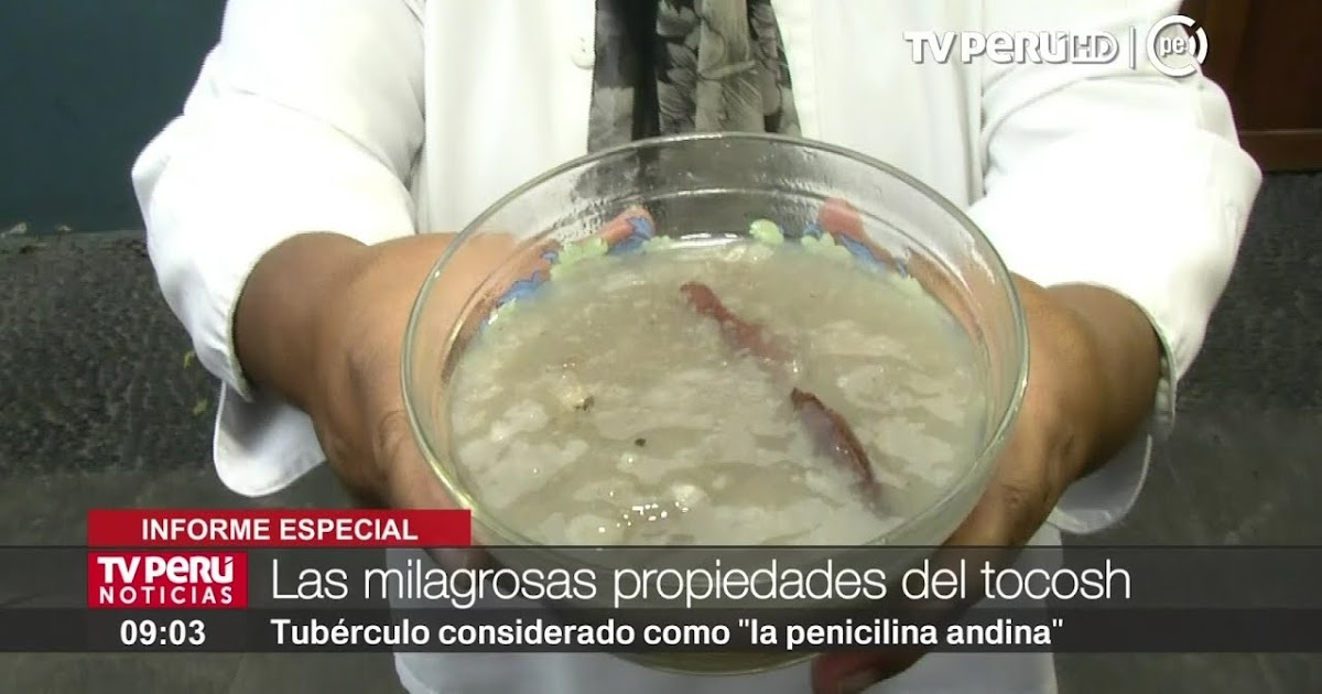 Tocosh: conoce los siete beneficios que brinda para la salud - Salud en ...