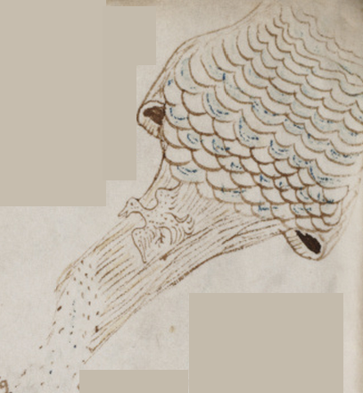 Unlocking the Voynich Manuscript: Water, Women, and Ritual