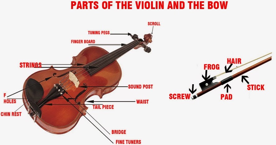 Violin Bow Parts Diagram