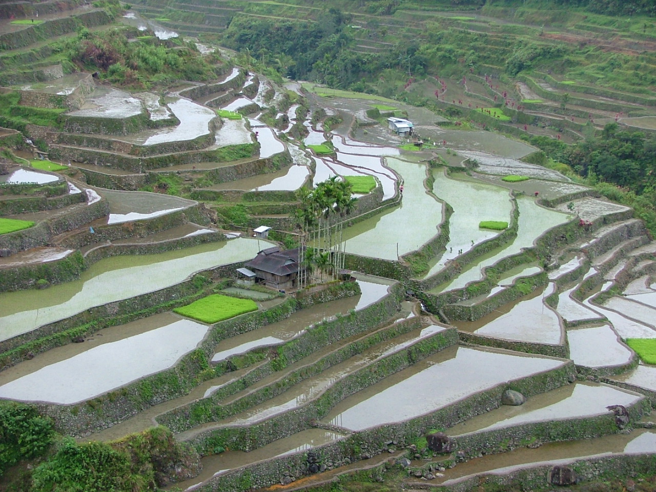 Hapao Rice Terraces