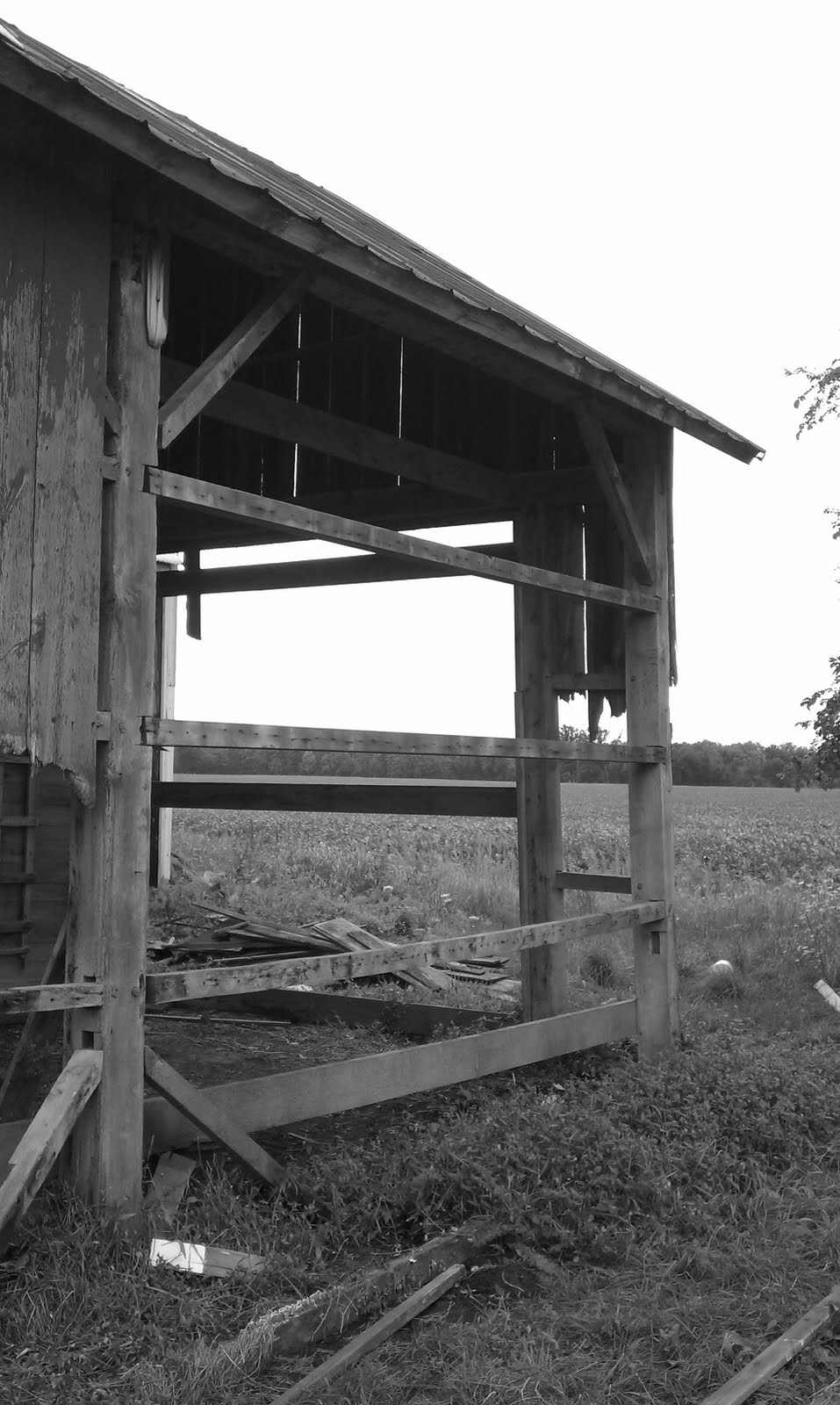 Red Rooster Ranch