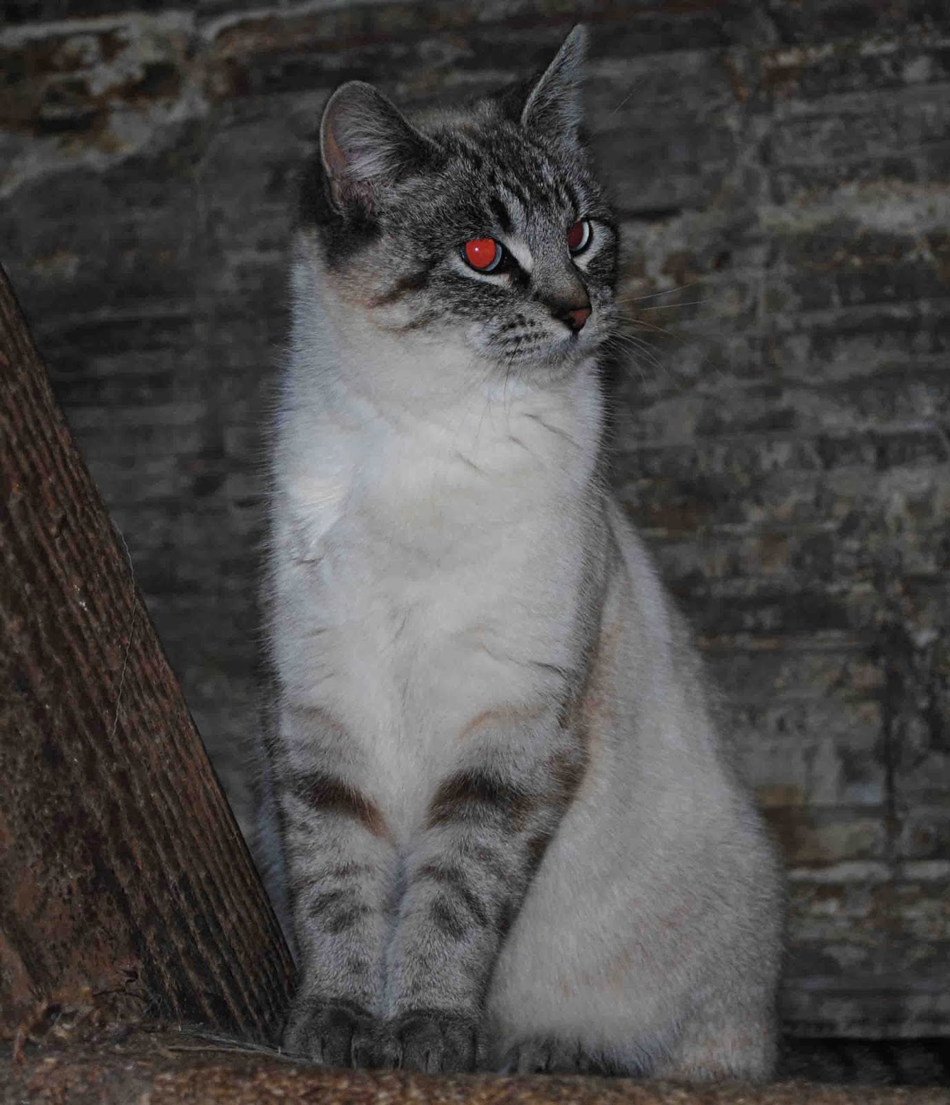 Exercise Finished: Herding cats