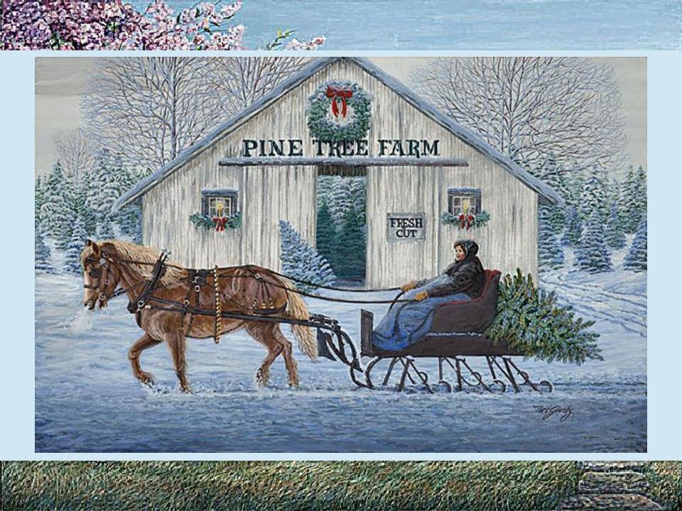 Soloillustratori: Pat Gamby