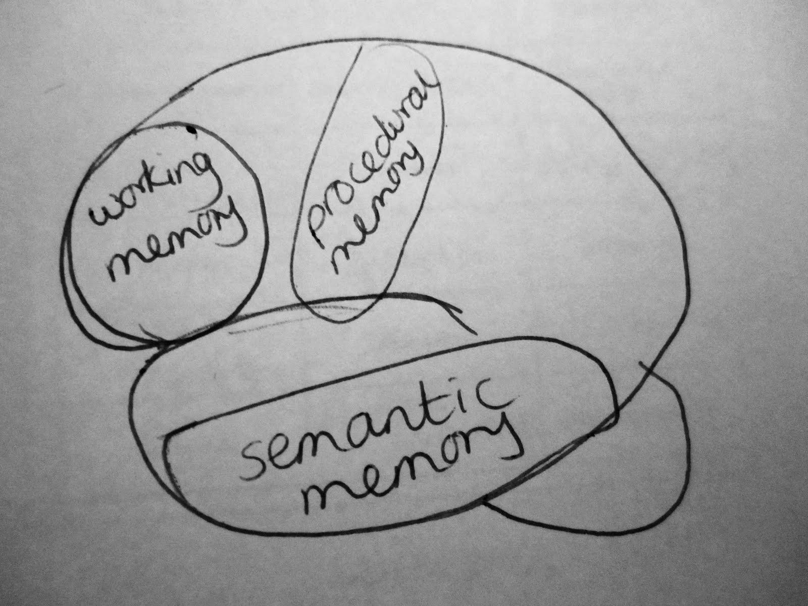 Notes From Medical School: Cram notes: Memory