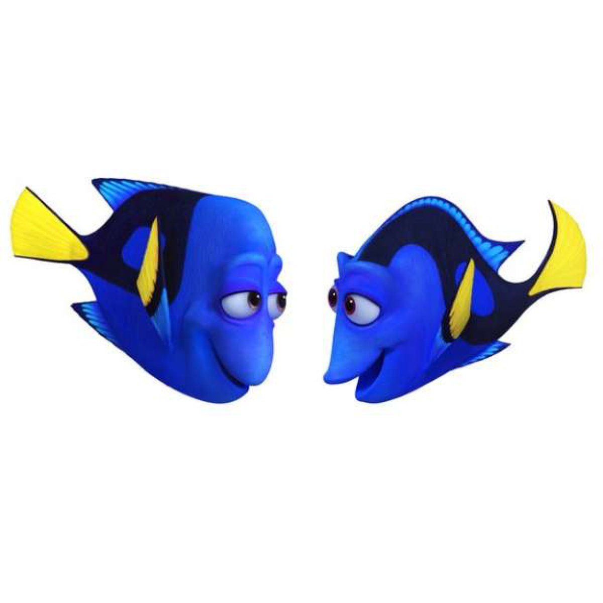 A través del verde: Conoce a los personajes de Buscando a Dory