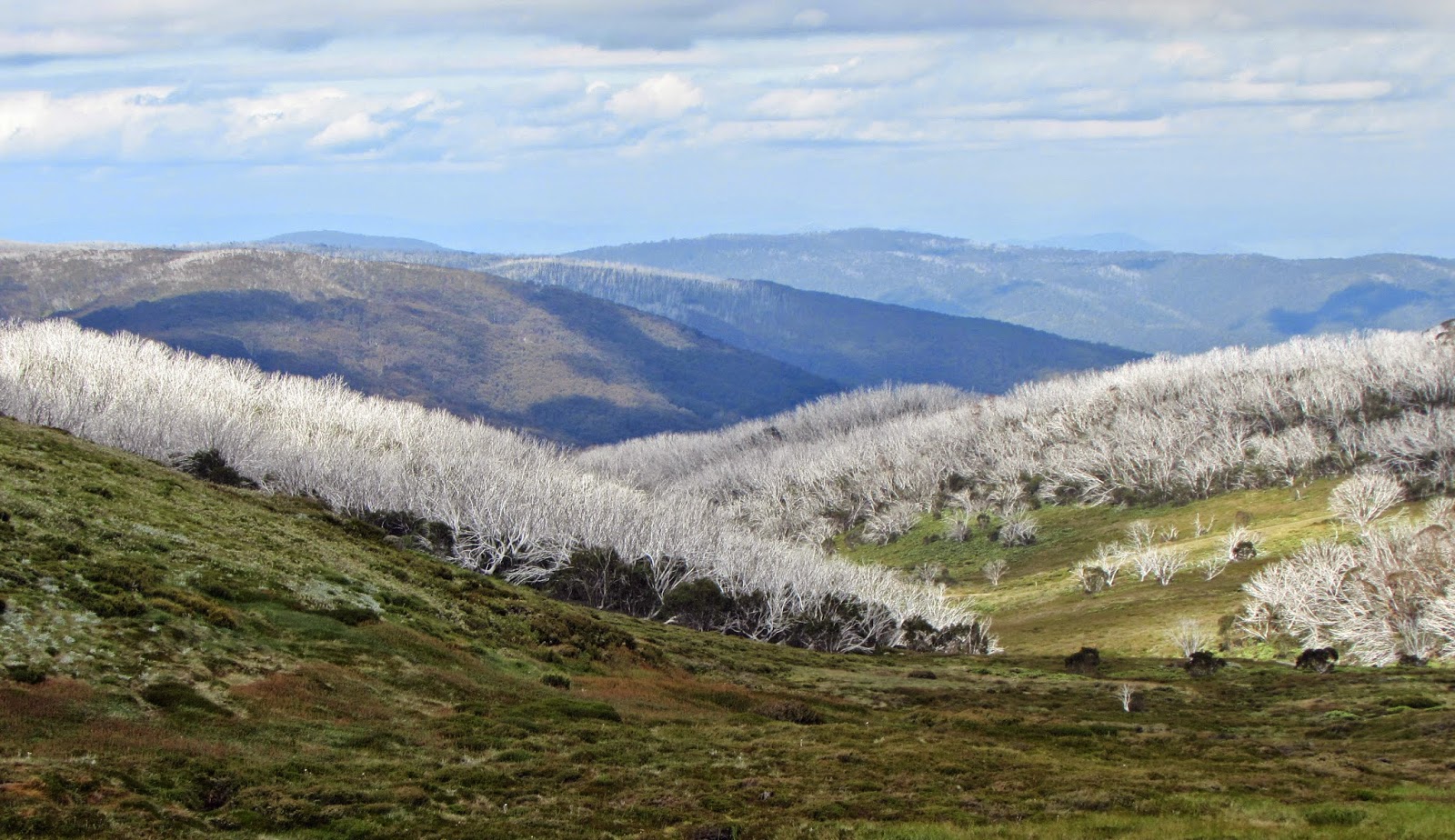 To Travel is to Live: Victorian Alps