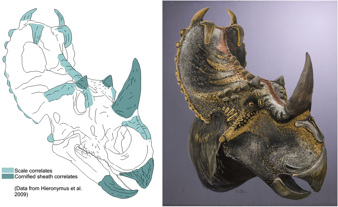 Mark P. Witton's Blog: The convention of shrink-wrapping: thoughts for ...