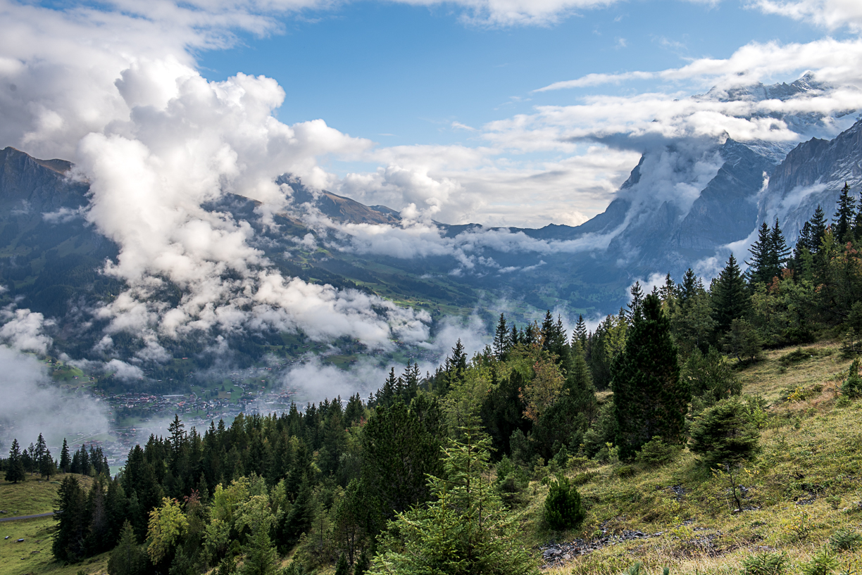 ParadoxUganda: Further Up, and Further In