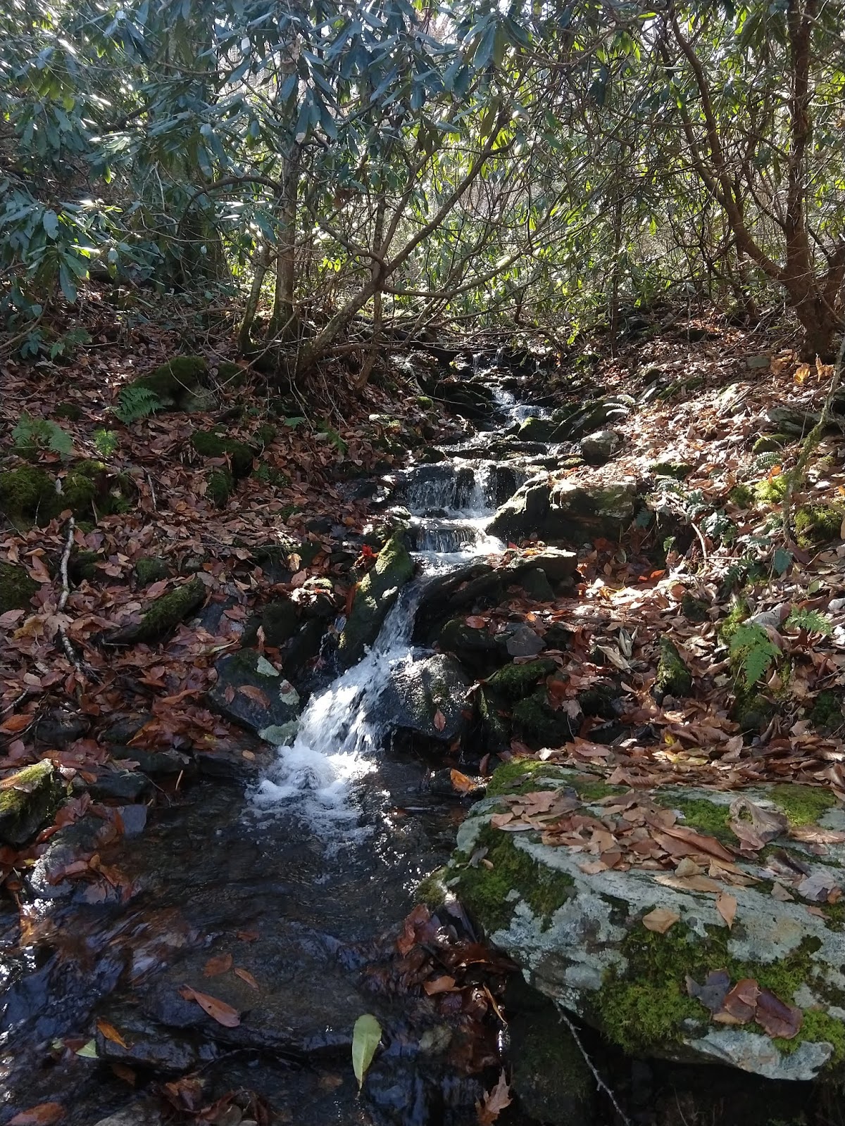 Backpack and Beer: Standing Indian Loop