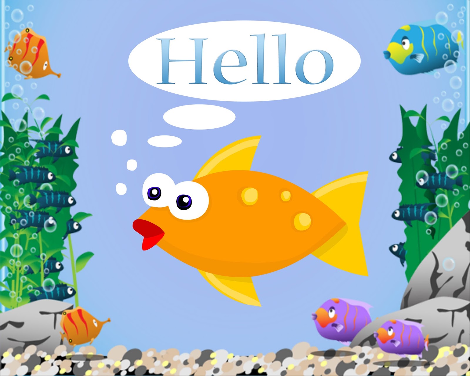 CJO Photo: Fish - Page 1