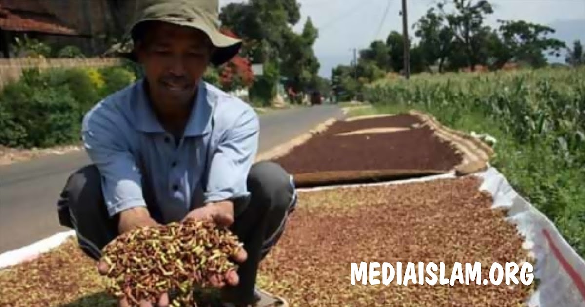 Nasib Negeri yang 'Katanya' Kaya Raya, Kini Harus Mengimpor Banyak ...