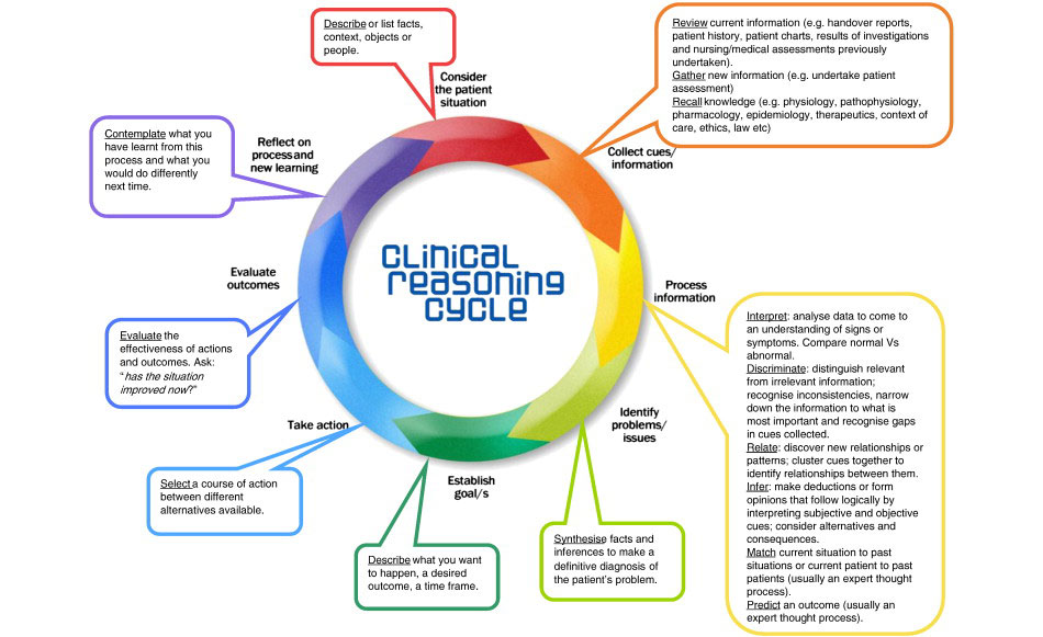 Klinisch Redeneren Clinical Reasoning Cycle klinisch-redeneren-clinical-reasoning-cycle