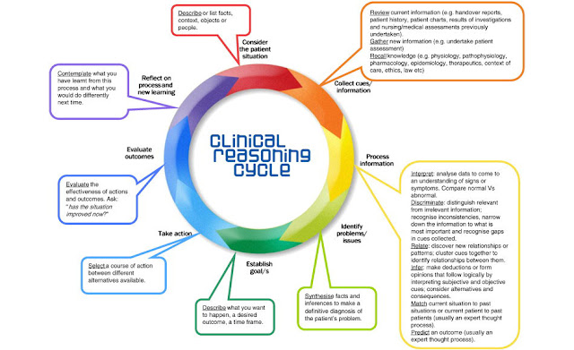 Klinisch redeneren: Clinical reasoning cycle
