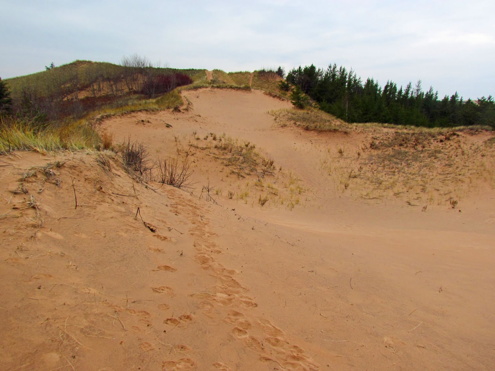 The Agatelady: Adventures and Events: Sable Falls and Beach Hike -- Post 1