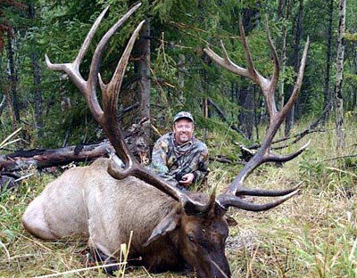 WILD LIFE: AMAZING WORLD RECORD BULL ELK