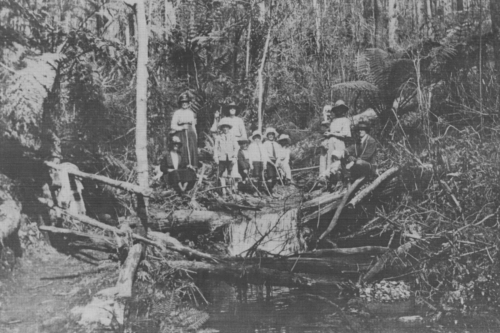 Olney Family Archives: Arthur E. & Doris G. (Moss) Olney